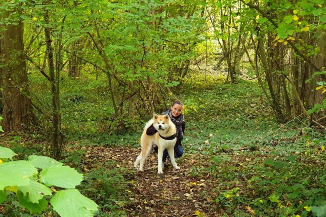 Haunted House in France - French Story & Translation