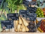 French Food Names + 450 Audio Recordings | Free French Guide