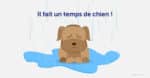 13 French idioms You Need to Know